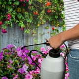 Spectracide Immunox Fungicide Spray Concentrate for Gardens, 16 oz ...