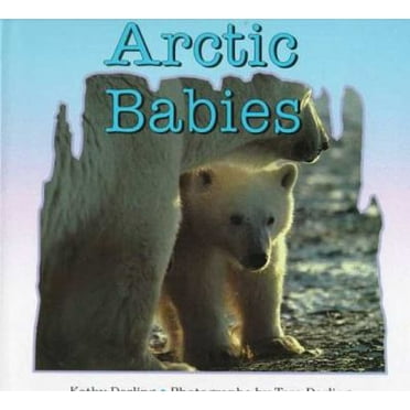 Ng Sticker Activity Books: National Geographic Kids Baby Animals ...