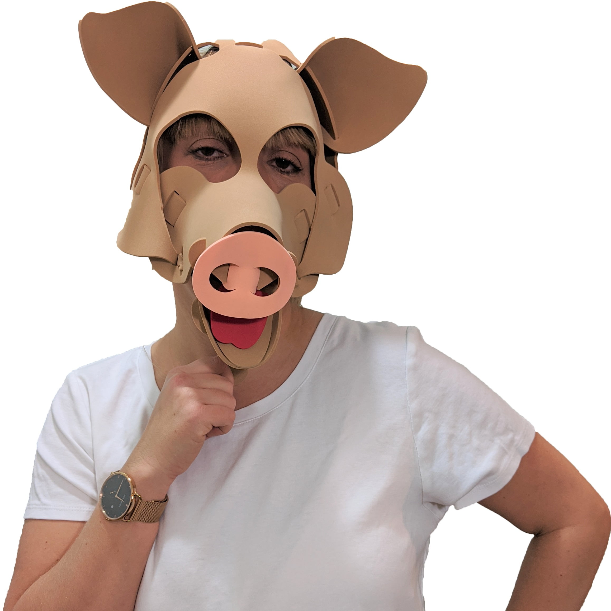 Pig Hog Mask - Brown- Go Fun Face Masks - Perfect for Halloween, Child ...