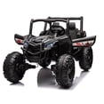 24V Ride on Car UTV 2 Seater 4X4 Side By Side Off-Road Vehicles Battery ...