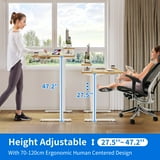 Dextrus Electric Height Adjustable Standing Desk with LED Light & Power ...