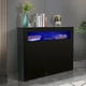 Contemporary 2-Door Storage Cabinet with LED Lights Black - Walmart.com