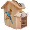 2 Way Mirrored Wooden Bird House, See Through, Suction Cup Window ...