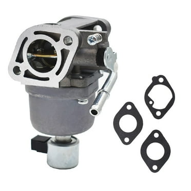For Briggs & Stratton Carburetor 112202 112232 134202 137202 133212 5HP ...