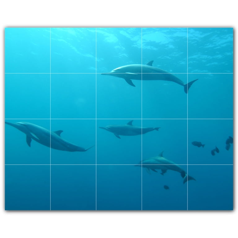 Dolphin Bathroom Tiles Dolphin Ceramic Tile Wall Mural Satin Finish
