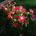 Solar-Powered Azalea Lantern (Red Warm Light): Led Garden Stake Lamp ...