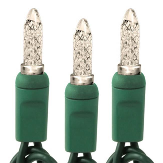 23 ft. Warm White M5 LED Lights with 4 in. Spacing and Green Wire ...
