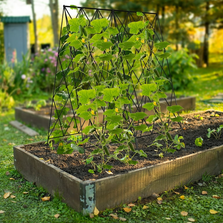A Frame Vegetable Trellis