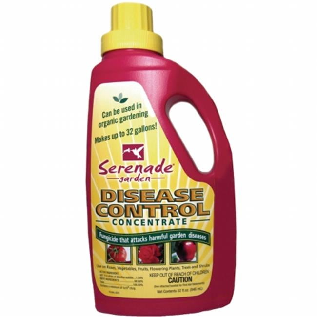 SERENADE CONC 32 OZ - Walmart.com