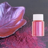 Partygee Color Shift Pigment Powder 10 Colors Pearl Mica Powder 0.35oz ...