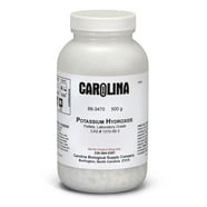 1 Lb Pure 99.9% Elemental Sulfur Powder for Plants - Walmart.com