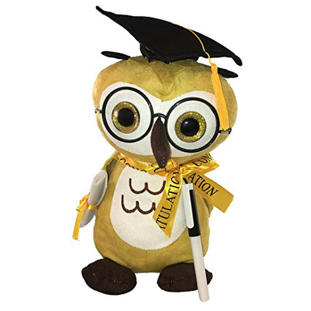Graduation Autograph Plush Wisdom Owl With Pen - 12"H - Walmart.com ...