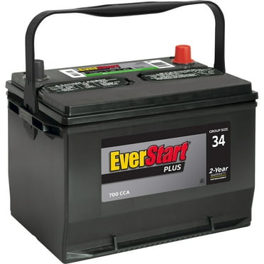 EverStart Platinum AGM Automotive Battery, Group Size S46B24R 12 Volt ...
