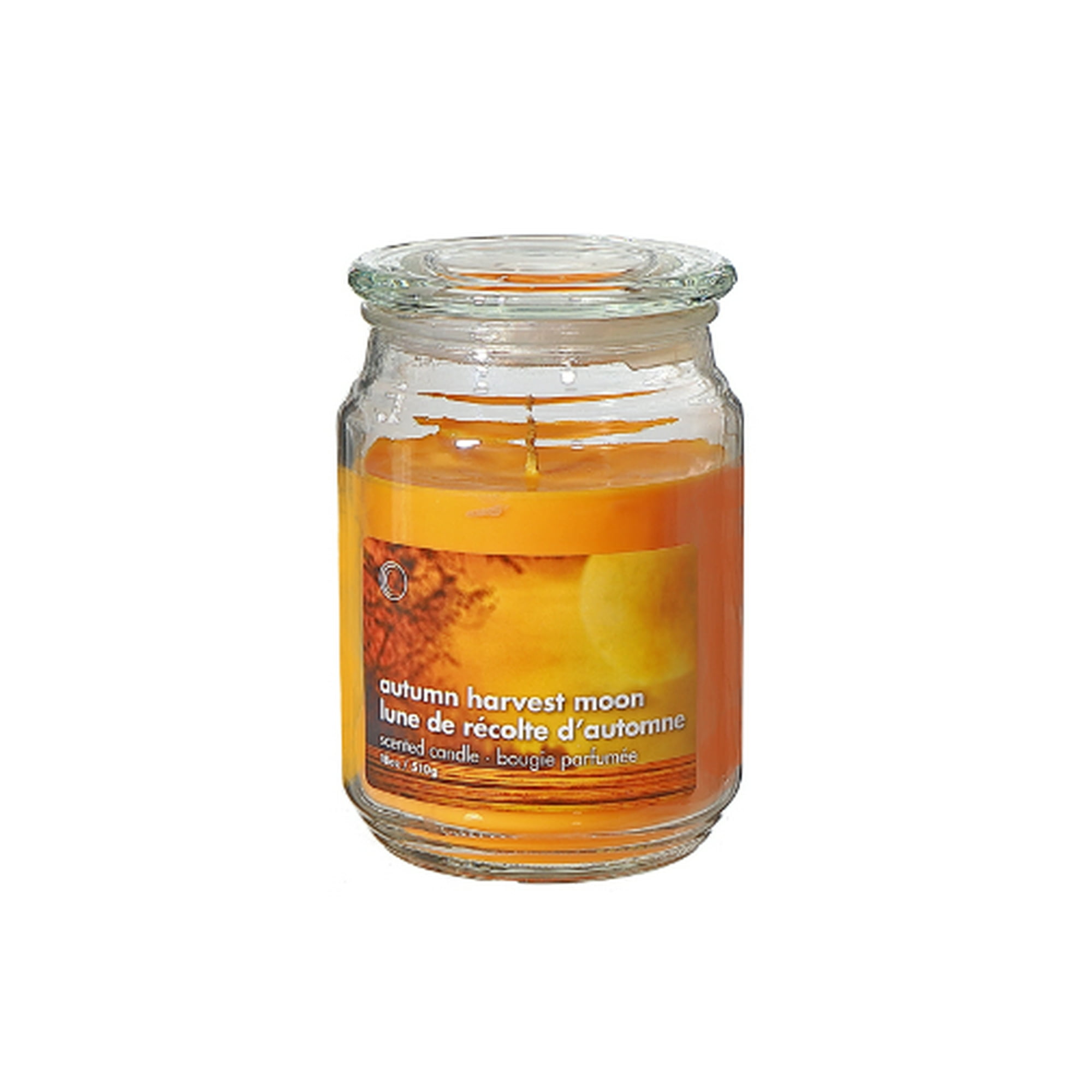 Click here for Nobrand 18oz Autumn Harvest Candle 18 Oz prices