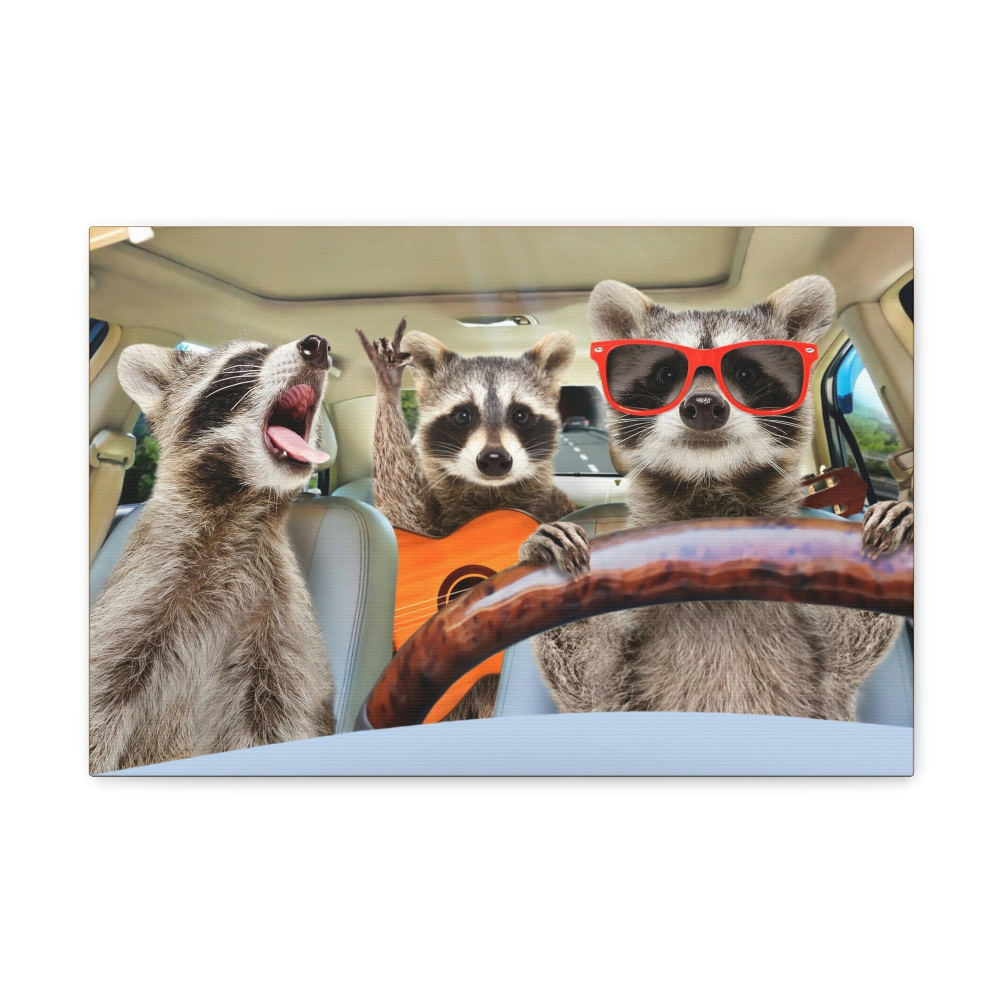 Funny Raccoon Silly Raccoon Couple Wall Art Ready to Hang Unframed ...
