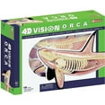 Orca Anatomy Model - Walmart.com
