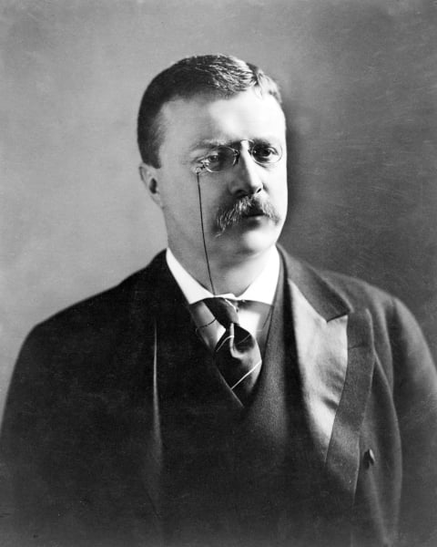 Print: President Theodore Roosevelt (Nearly Full Face), 1902 - Walmart.com