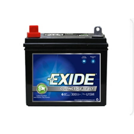 EXIDE LAWN & GARDEN BATTERY | Walmart Canada