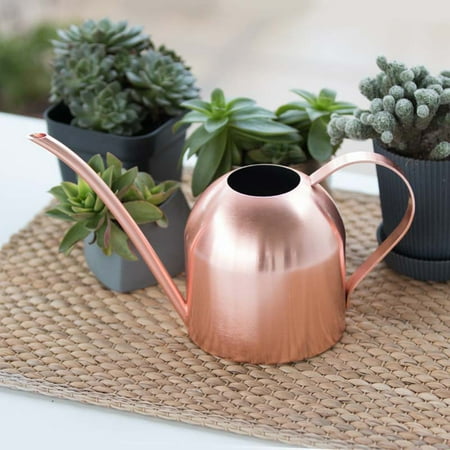 Rose Gold Small Watering Can kettle Helps You Water Tiny House Plants ...