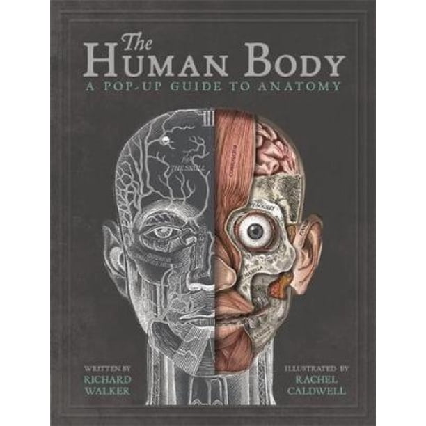 The Human Body: A Pop-Up Guide to Anatomy - Walmart.ca