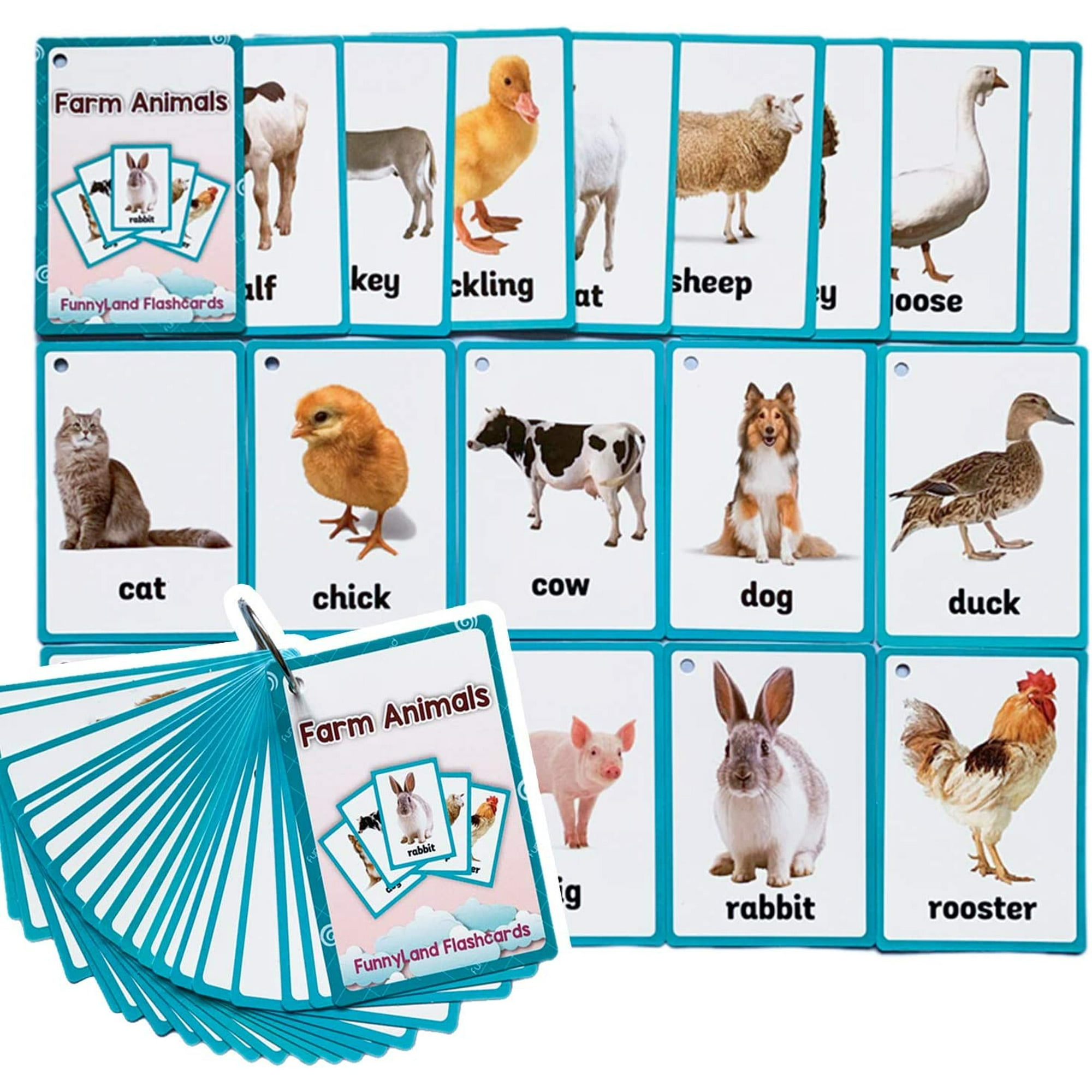 Farm Animals For Kids