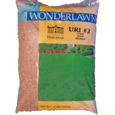 Americas Favorite Falcon IV Tall Fescue Grass Seed, 50 lbs - TWCA ...