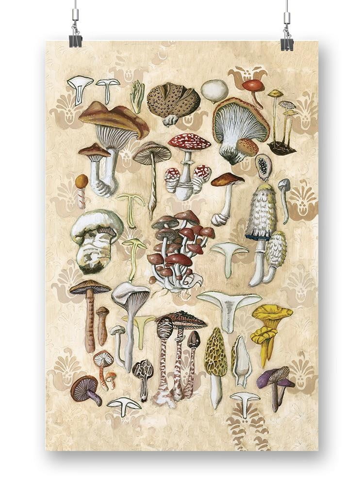 Mycological Study Poster - Naomi McCavitt Designs, - Walmart.com