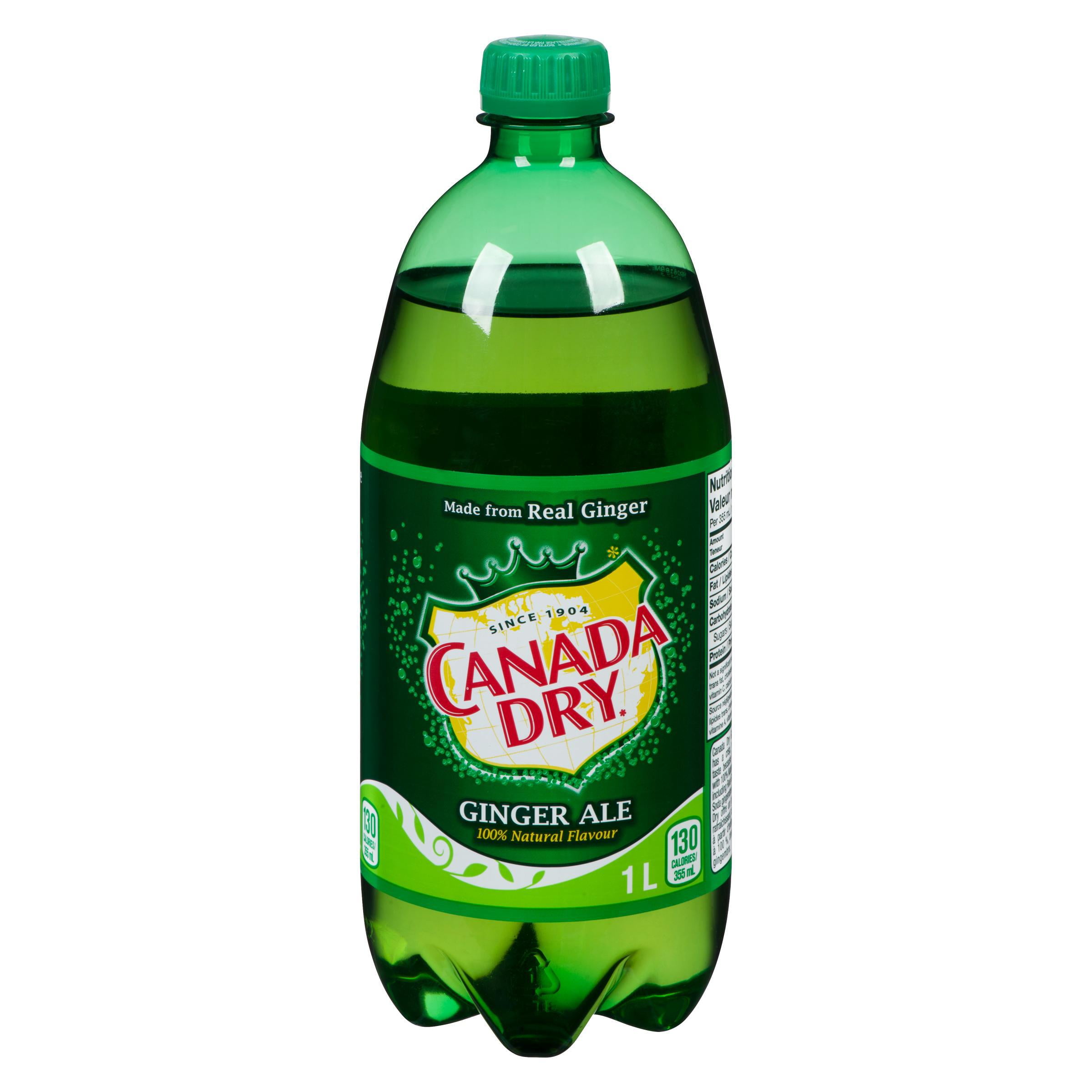 Canada Dry® Ginger Ale 1L Bottle, Canada Dry Gingerale 1L - Walmart.ca