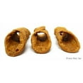 Cannoli Shells - Light And Flaky - 24 Shells - Frank And Sal Bakery - 5 ...