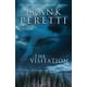 The Visitation (Paperback) - Walmart.com