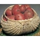 Blue Ridge Basket Kits, Potato Basket, 7" x 12" x 12" - Walmart.com