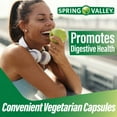 Spring Valley Advanced Digestive Enzymes, 60 Count - Walmart.com