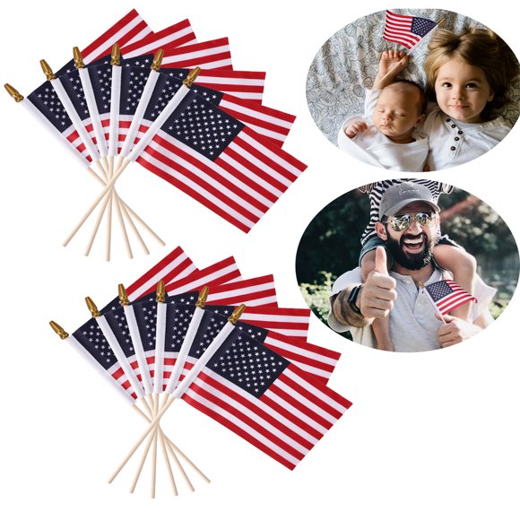 Small American Flag Stick