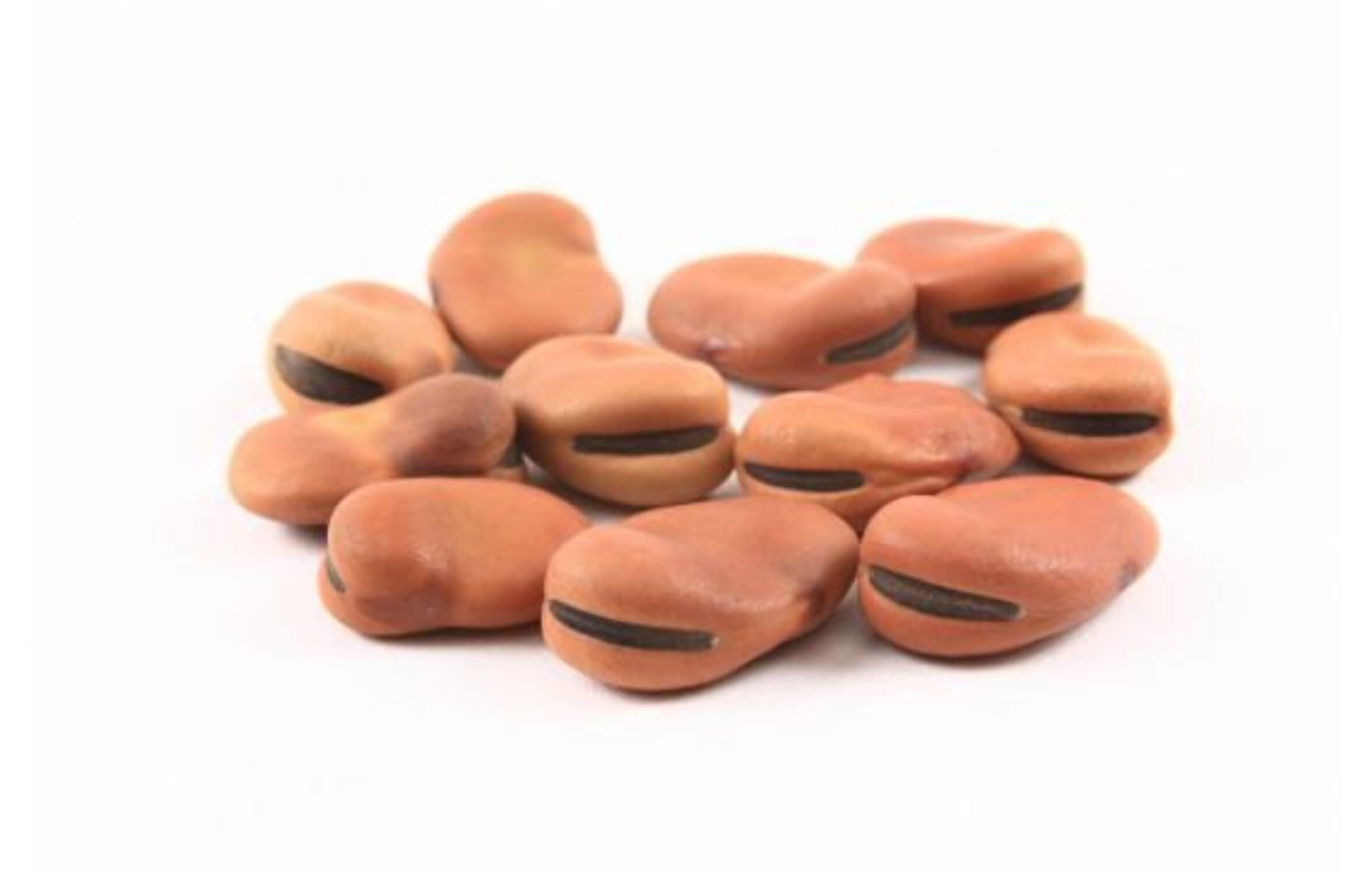 Fava Beans, Dried (Mojo Beans) - Walmart.com