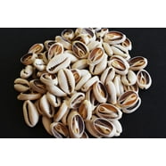 Coco Midrib Sea Shell Pack: Natural, 10 inches - Walmart.com