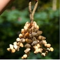 Natural Shell Bell Wind Chime - Handmade Healing Musical Instrument ...