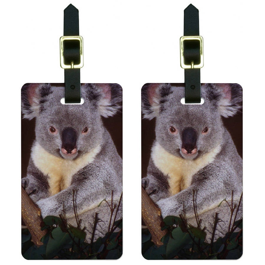 Graphics and More - Koala Bear Luggage Tags Suitcase Carry-On ID, Set ...