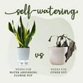 Self Watering Planter Pots for Indoor Plants, African Violet Pots with ...