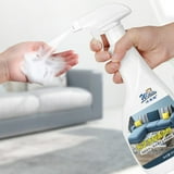 CheAAlet Carpet Remover, Strength Stain Carpet Cleaner Curtain Sofa Muppet Wallcovering Rug ...