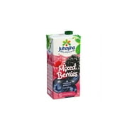 Robinsons Fruit Shoot Berry Burst No Added Sugar Juice Drink, 10.1 fl ...