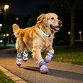 TELOLY 2026 New 4Pcs Dog Shoes Rubber Dog Booties and Paw Protectors ...