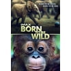 IMAX: Born to Be Wild (DVD) - Walmart.com