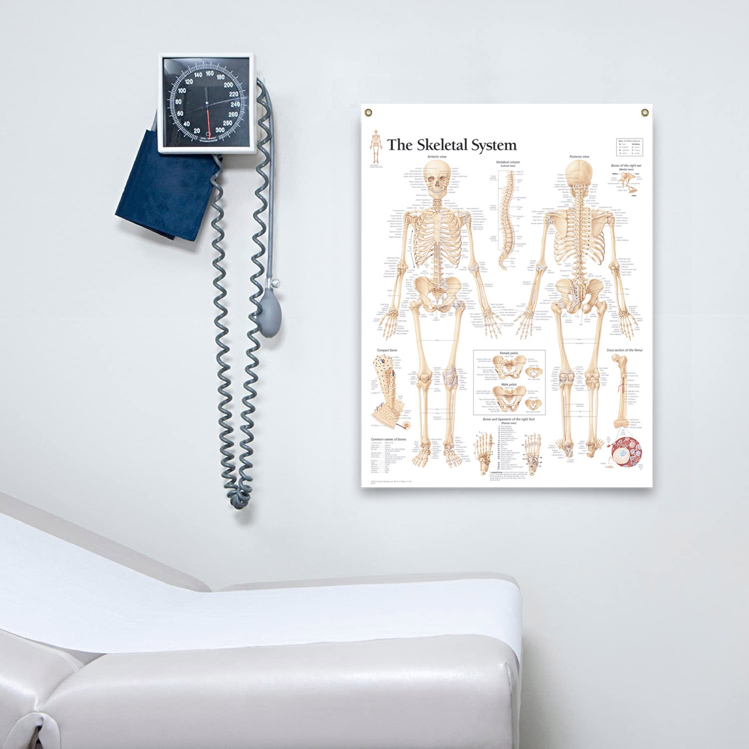 Required 2022 Osha Posterboard
