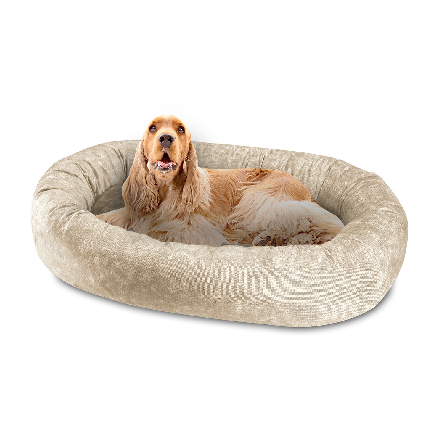 Canine Creations Arlee Orbit Oval Round Pet Dog Bed - Memory Foam ...