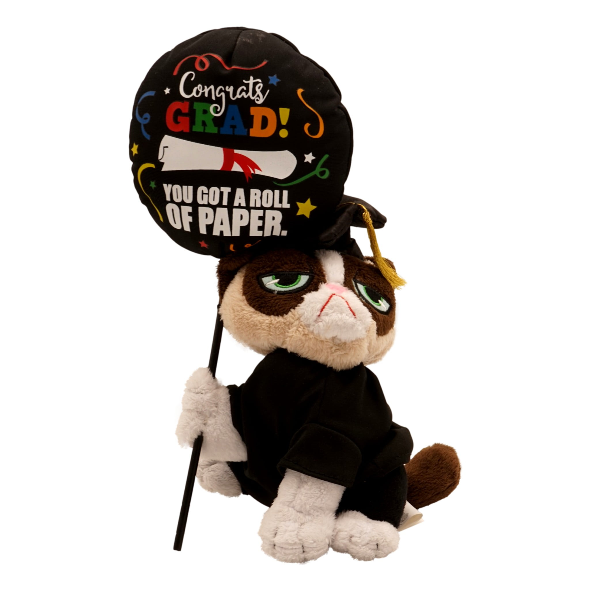 Grumpy Cat Graduation Cap