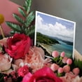 3drose, Australia, Whitsunday, Hamilton Island Coastline-au01 Wbi0551 ...