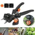 Branch Grafting Cutting Tool Set, Precision Crafted For Fruit Tree ...