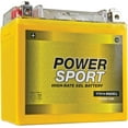 "ExpertPower YTX14-BS Battery, 12V 14AH Maintenance-Free Sealed Gel ...