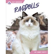 Alycat and the Friendship Friday (Hardcover) - Walmart.com
