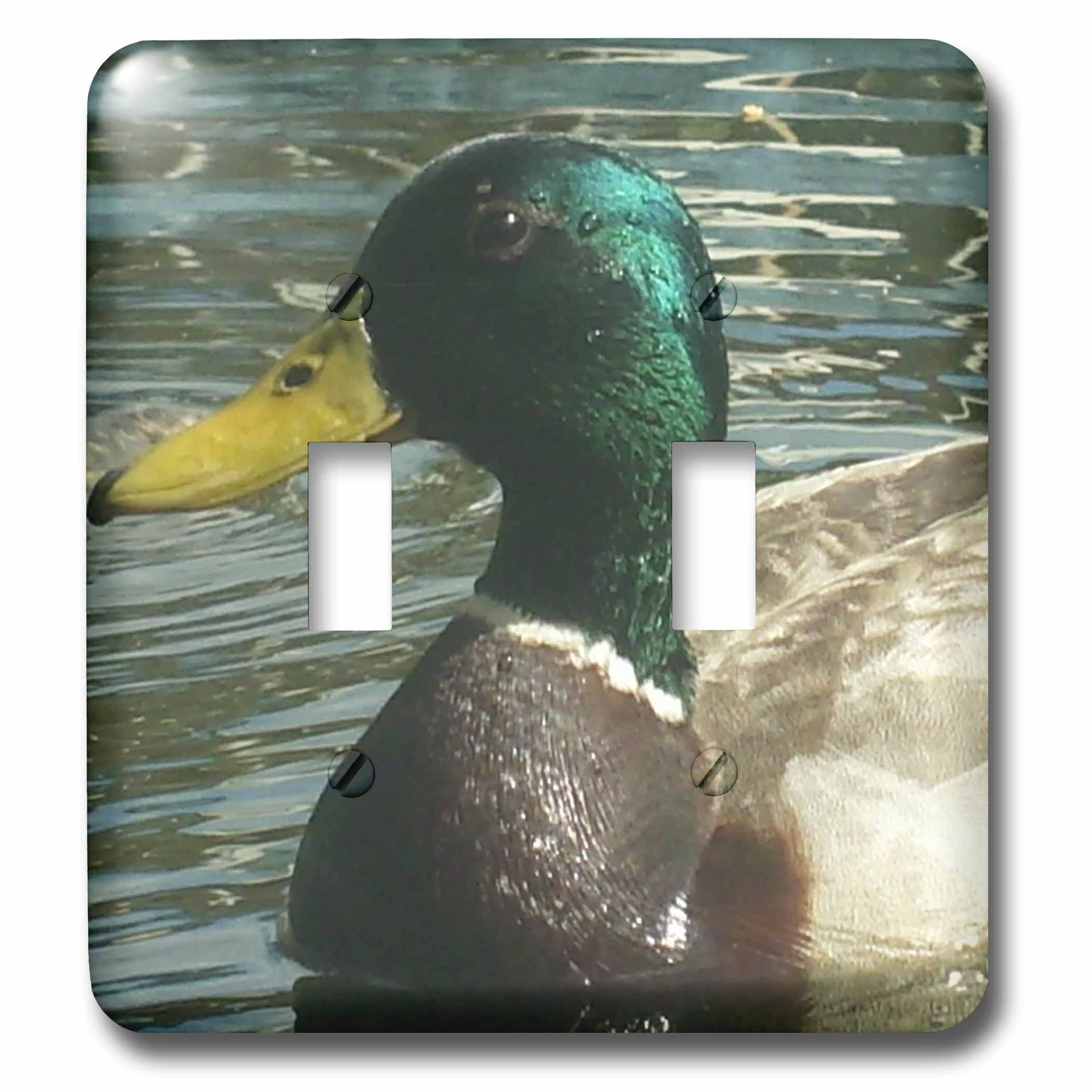 3dRose Mallard Duck Glistening - Double Toggle Switch (lsp_22251_2 ...